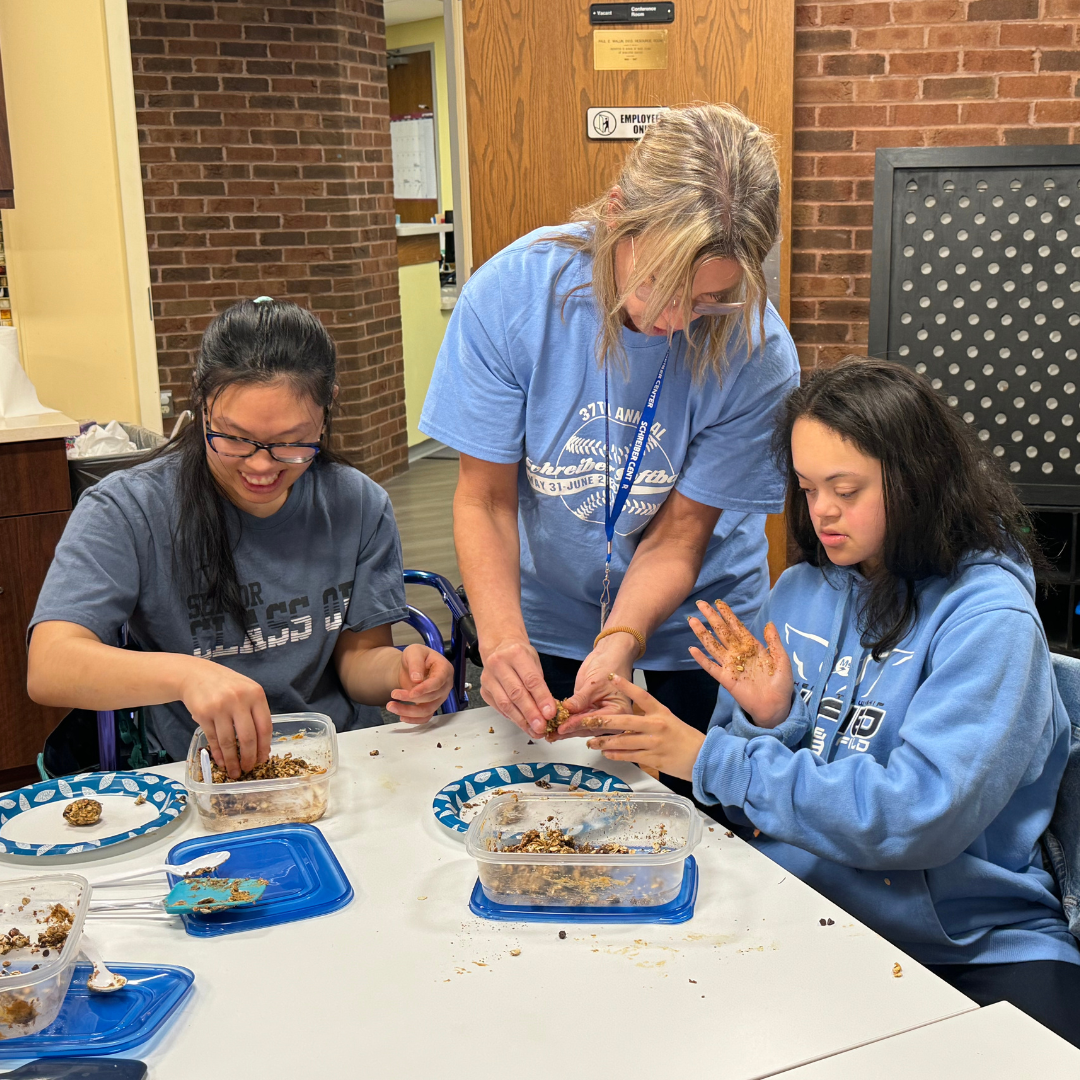 Independent Activities of Daily Living (IADL) Program - Schreiber ...